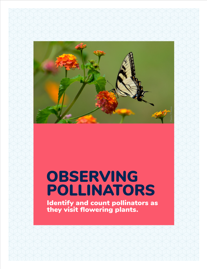 Library Kit Building Guide - Observing Pollinators - SciStarter