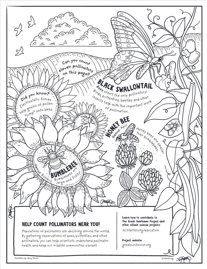 Library Kit Building Guide - Observing Pollinators - SciStarter