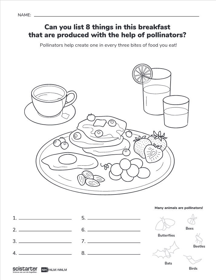 Library Kit Building Guide - Observing Pollinators - SciStarter