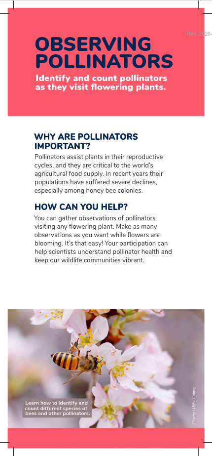 Library Kit Building Guide - Observing Pollinators - SciStarter