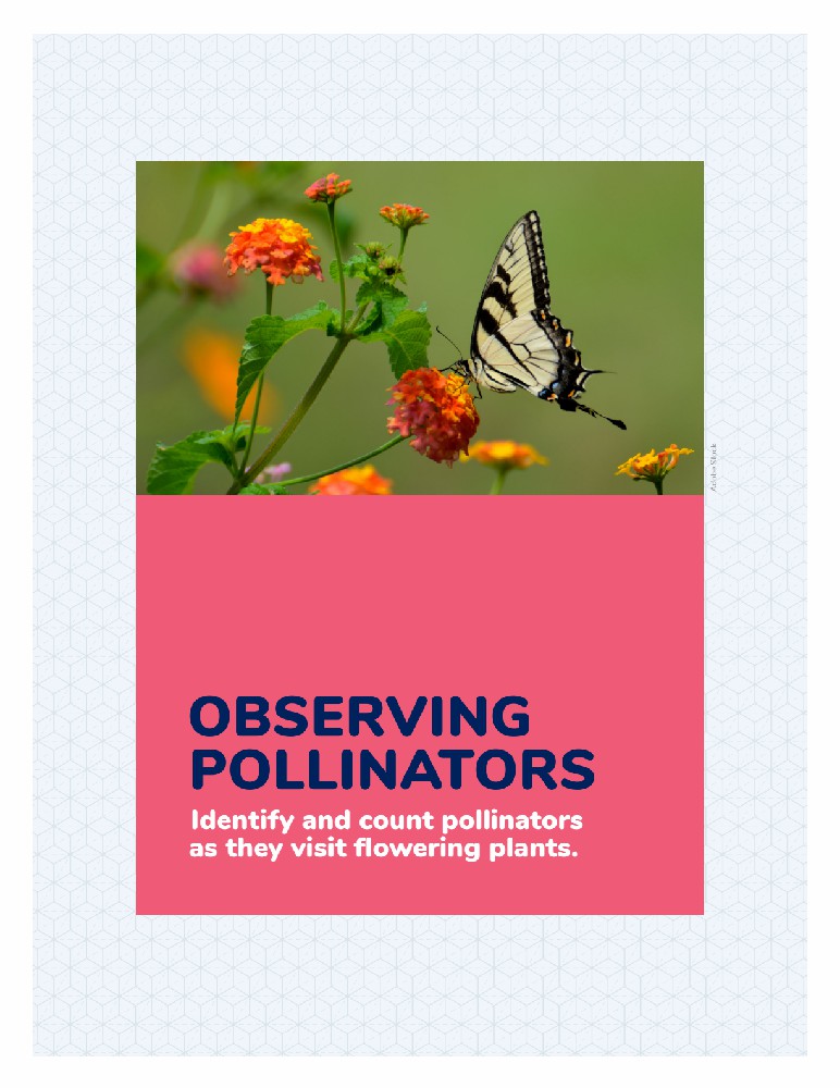 Library Kit Building Guide - Observing Pollinators - SciStarter