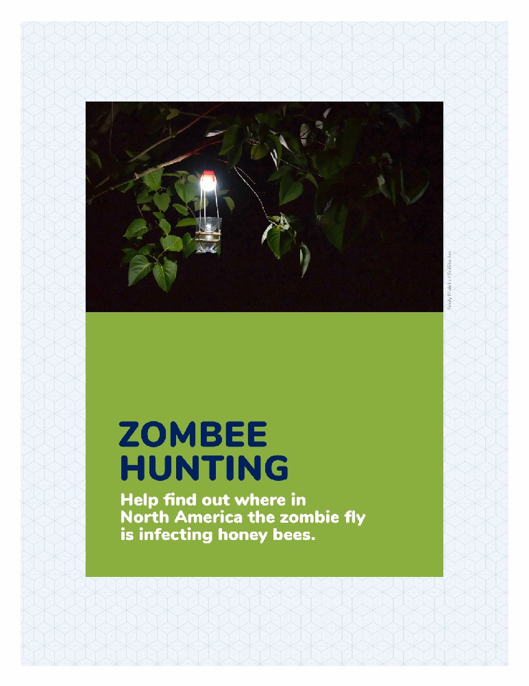 Library Kit Building Guide - Zombee Hunting - SciStarter