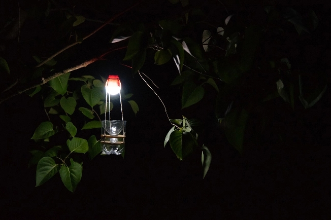 Citizen Science Kit - Zombee Hunting - SciStarter