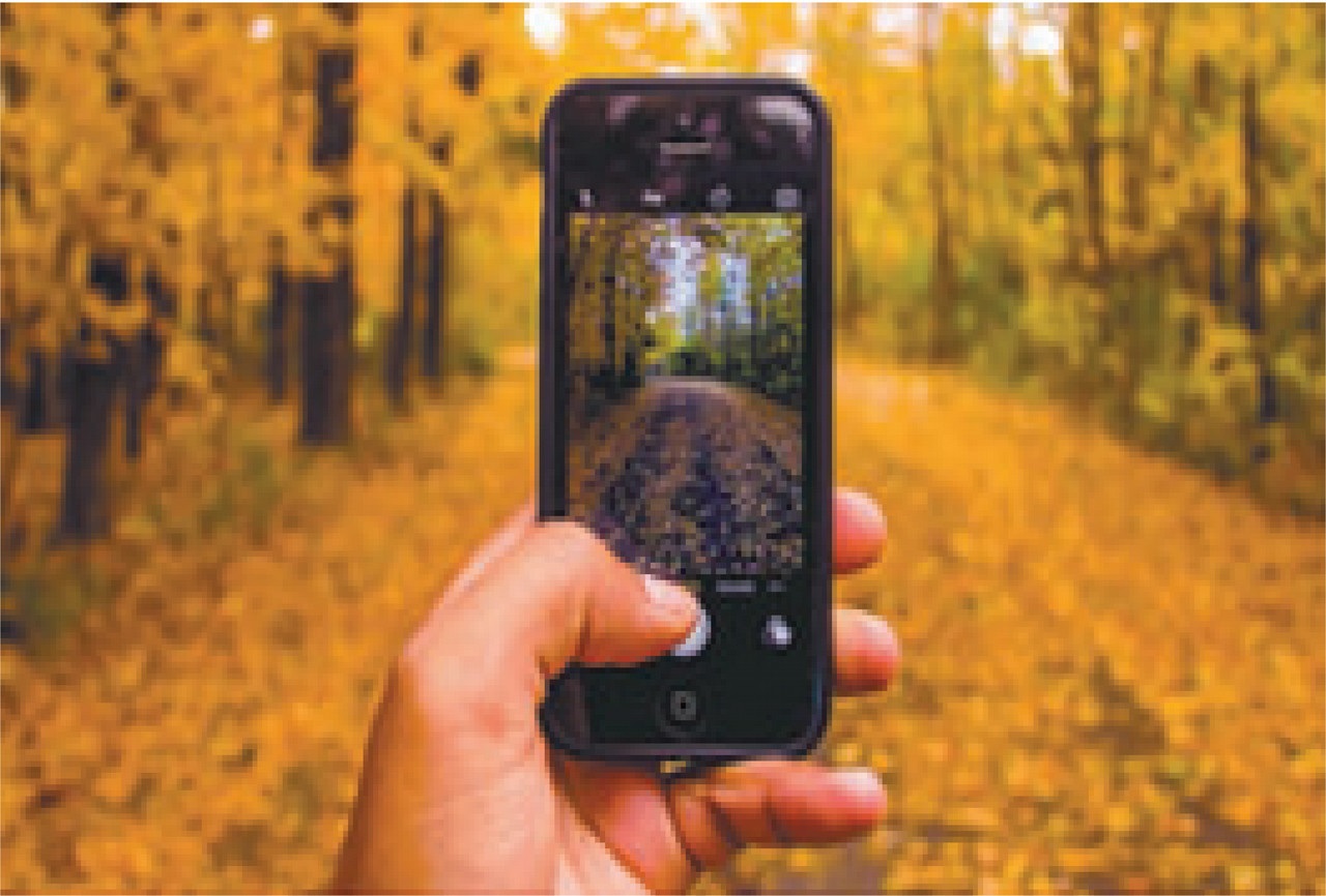 Citizen Science Month - SciStarter