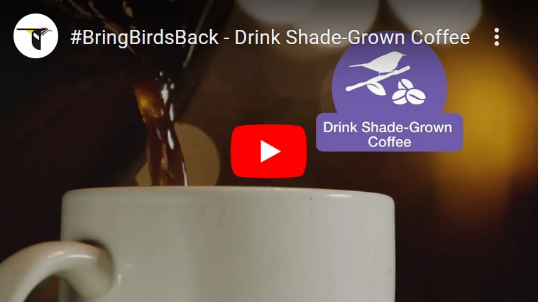 Flyways - SciStarter