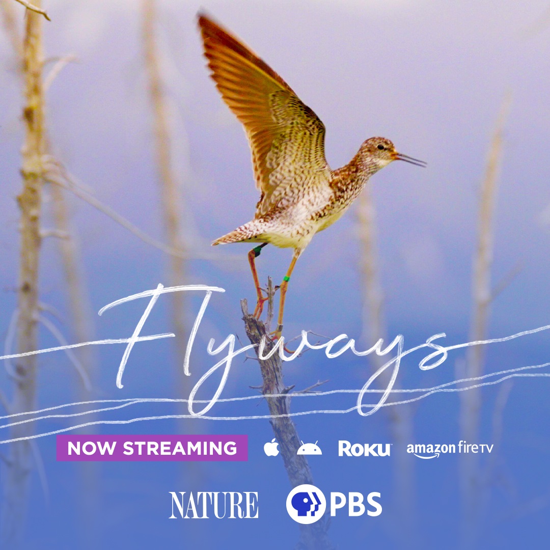 Flyways - SciStarter