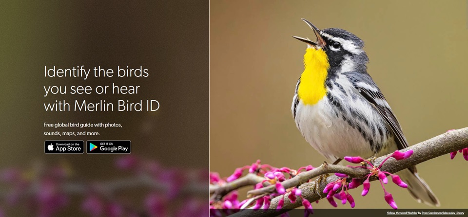 Flyways - SciStarter