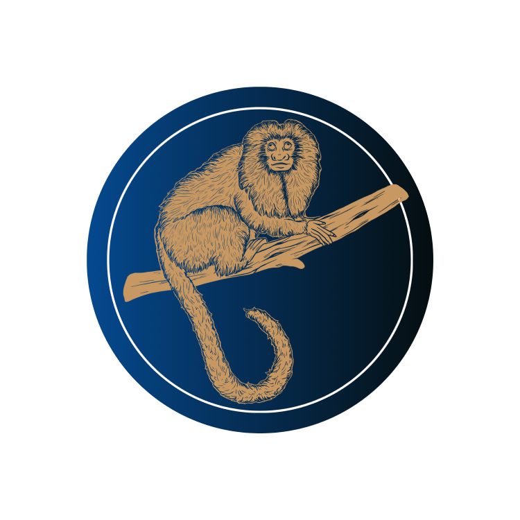 Golden Chance Logo Previous NZIBA Winners | NZTE