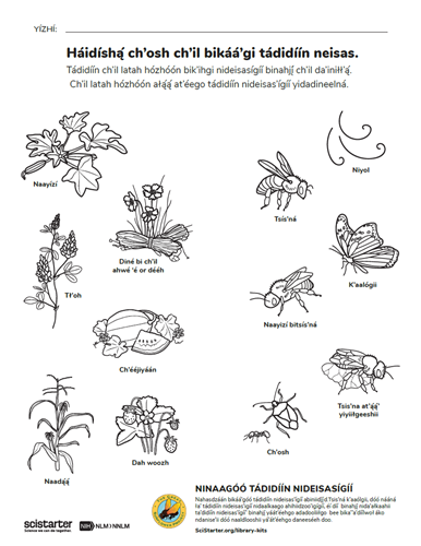 Library Kit Building Guide - Observing Pollinators - SciStarter