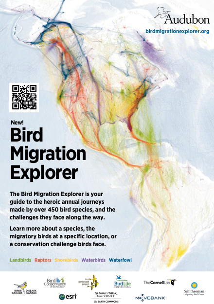 Flyways - SciStarter