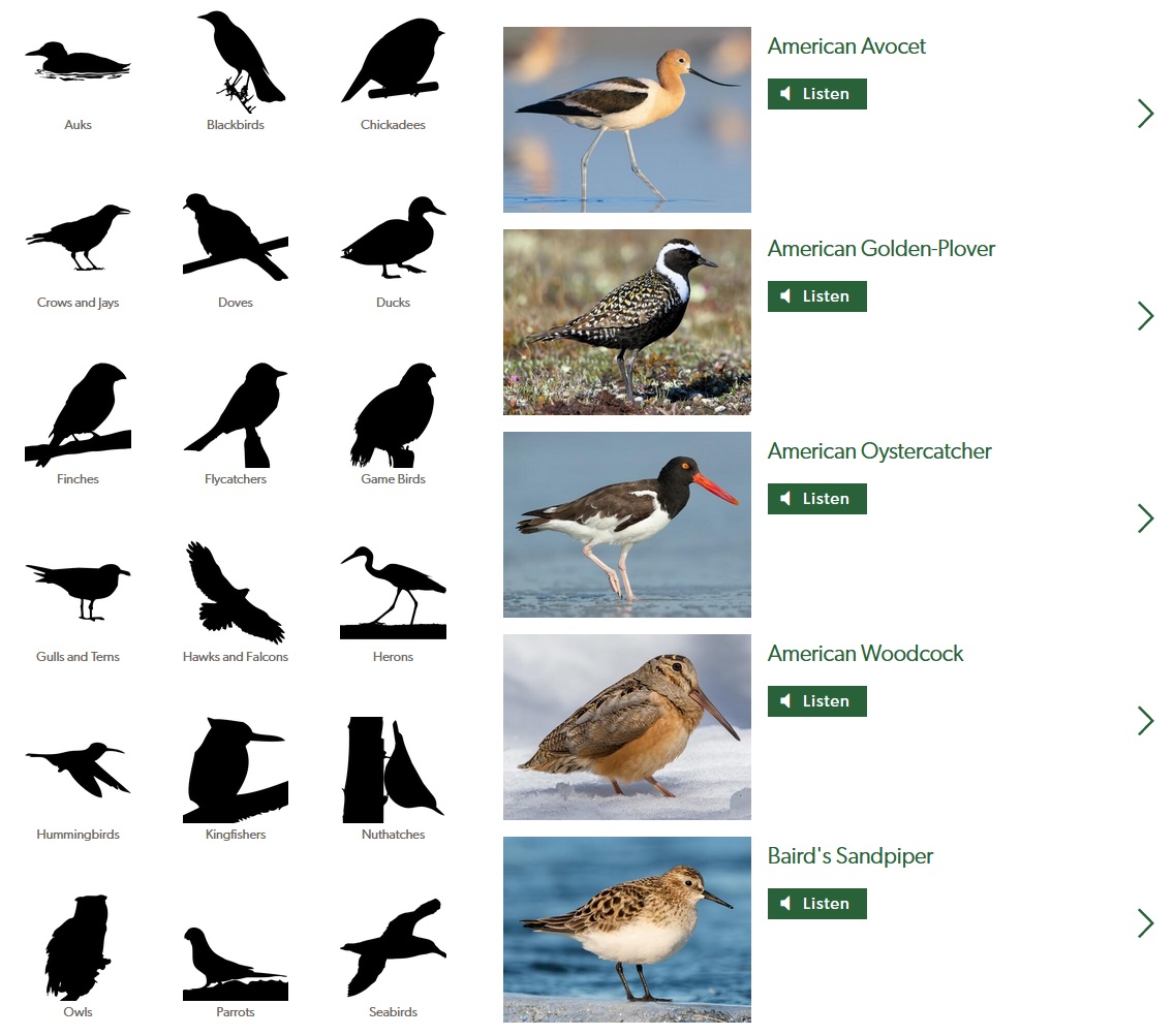 Flyways - SciStarter