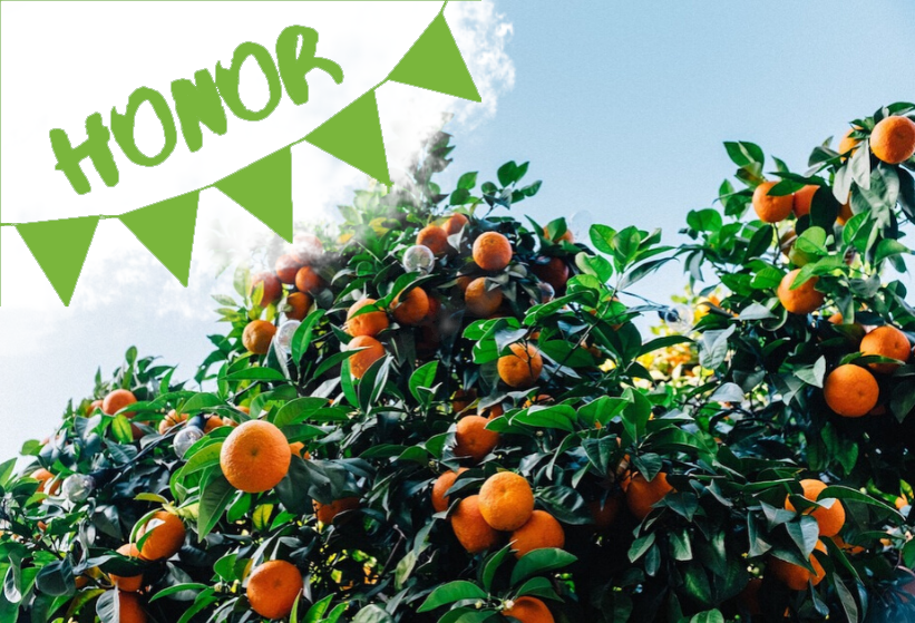 Girl Scouts Tree Promise - SciStarter